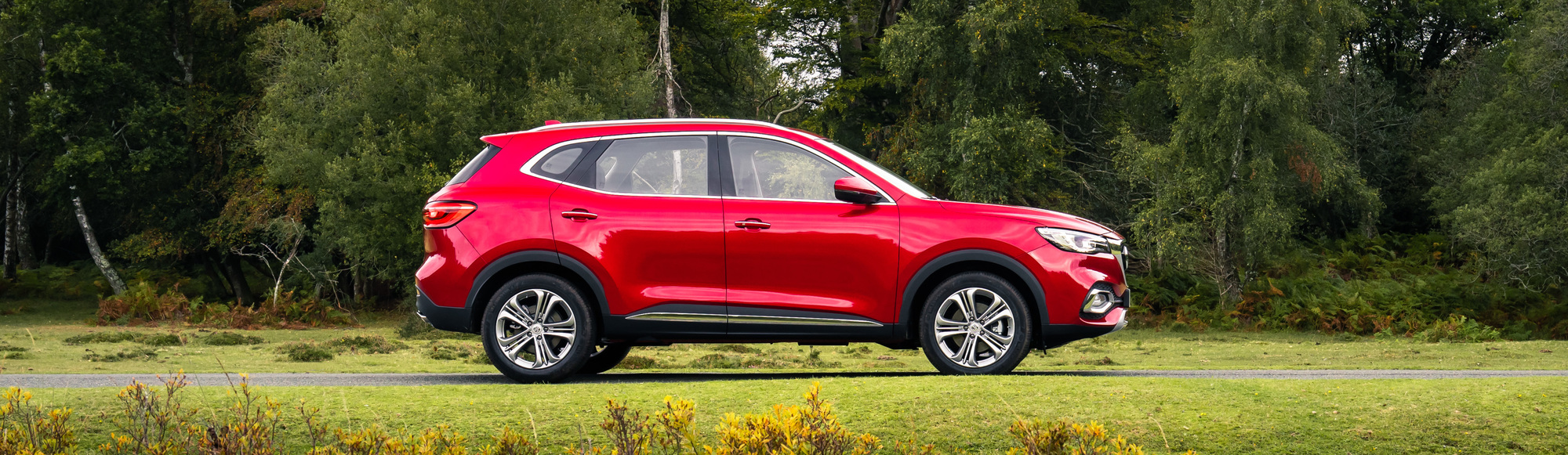 Buy a New MG Car | MG Petrol, Electric & Hybrid Models | Blackshaws